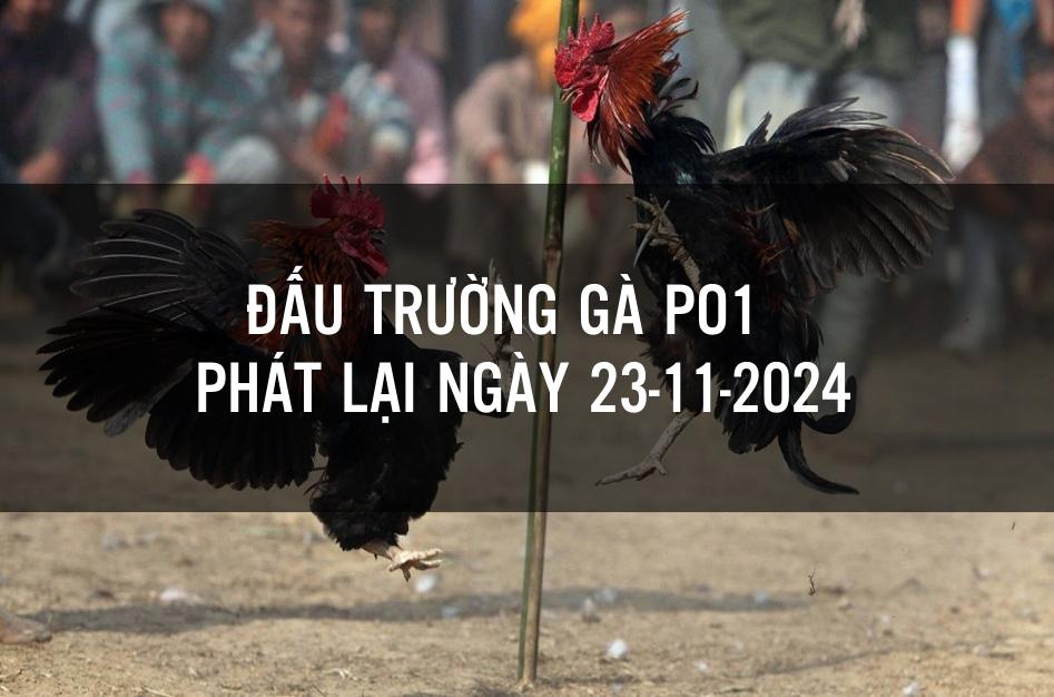 Phát lại đá gà cựa dao Philippines PO1 ngày 23-11-2024